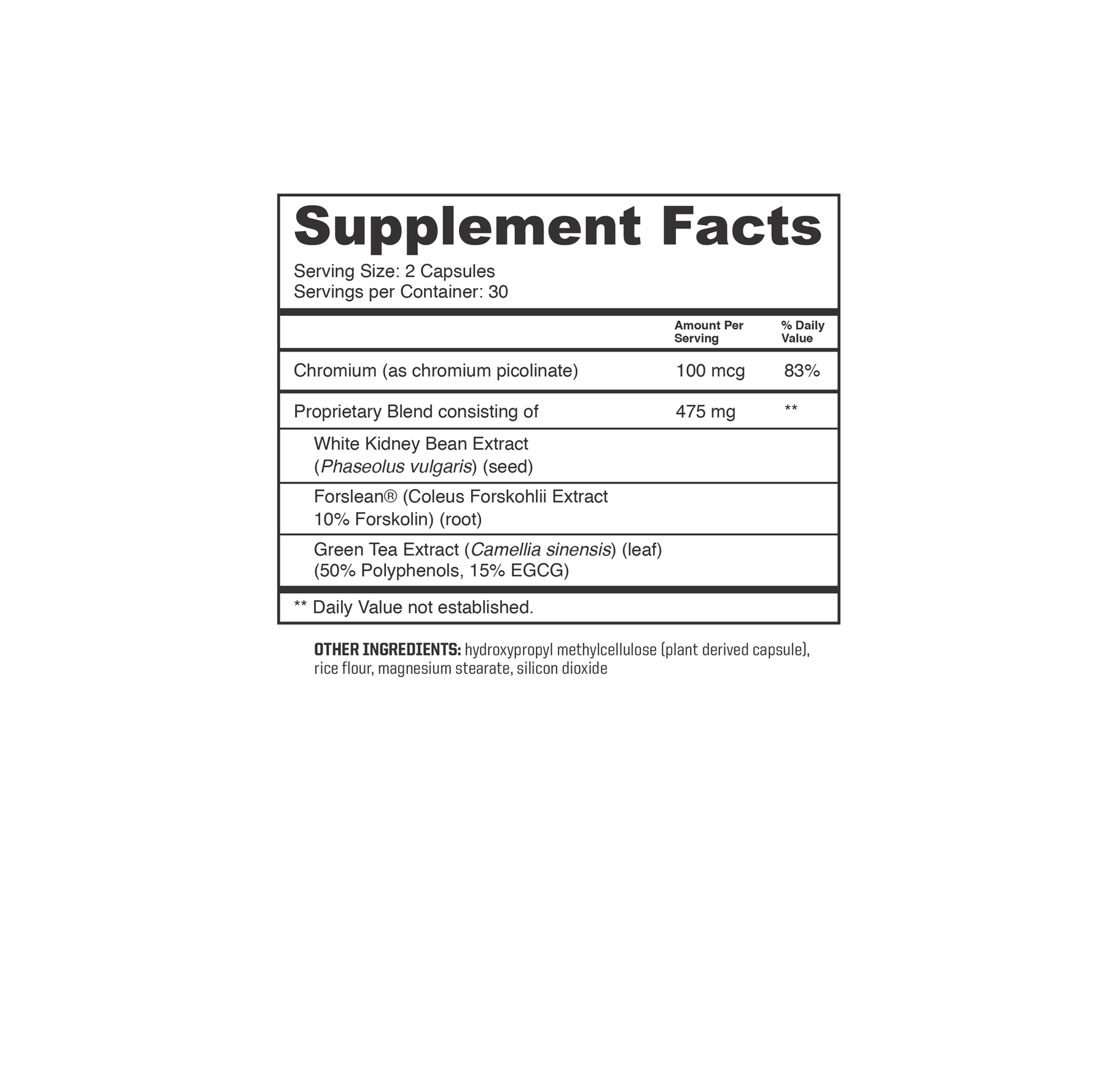 Lean Plus:Xendurance Reviews